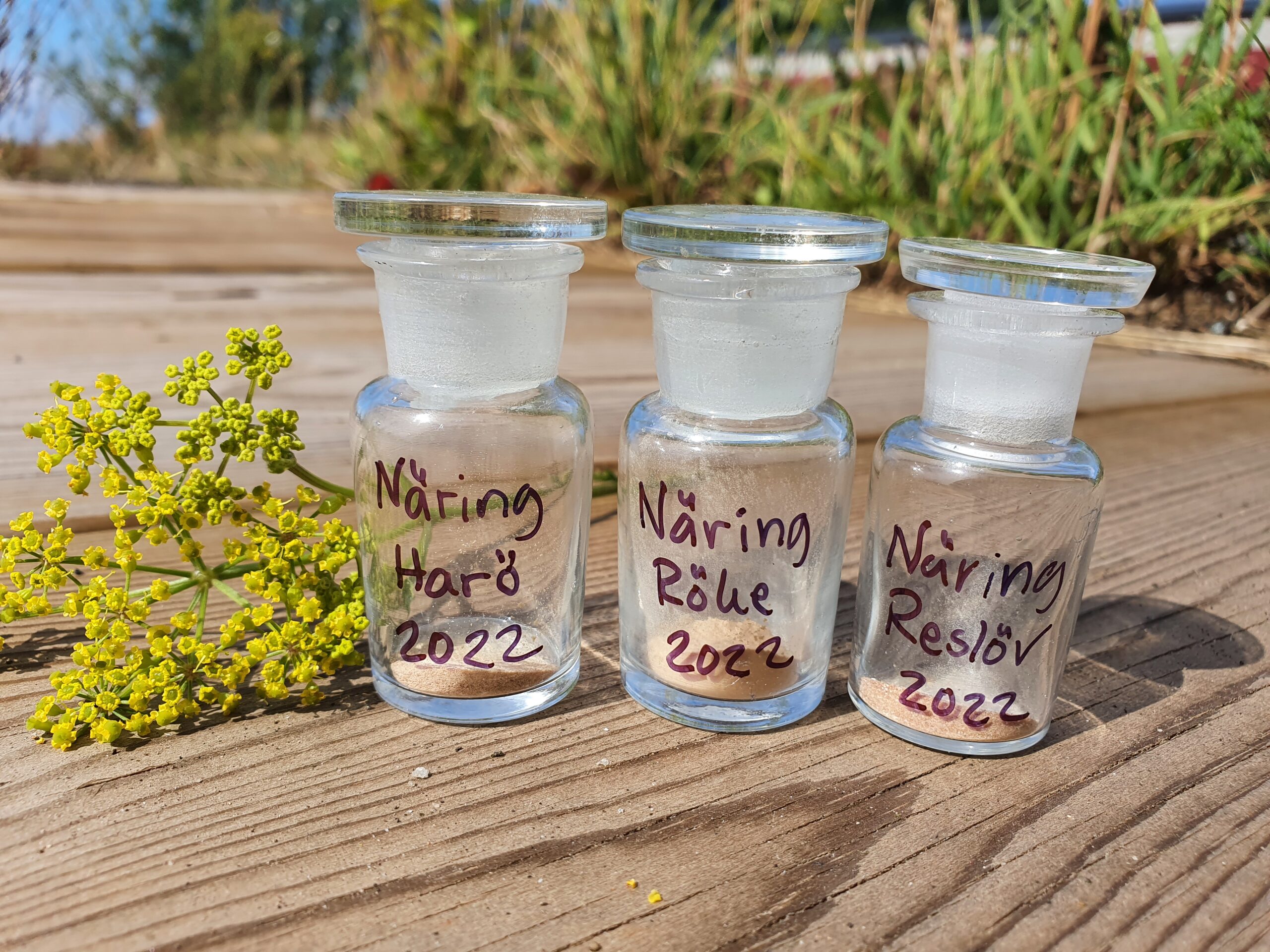 Näring ger liv - event om fosforåtervinning - Innovationscenter för ...